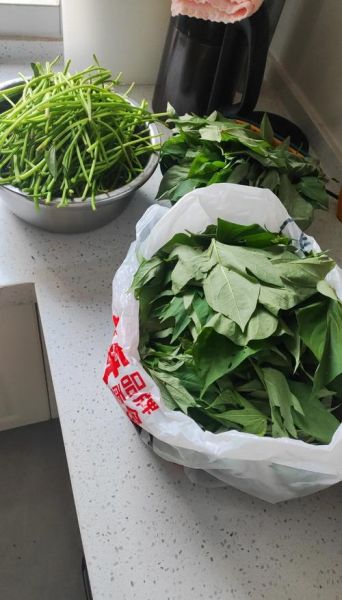 红薯叶蒸着吃怎么做_红薯叶蒸多久才熟-第2张图片-山城妙识