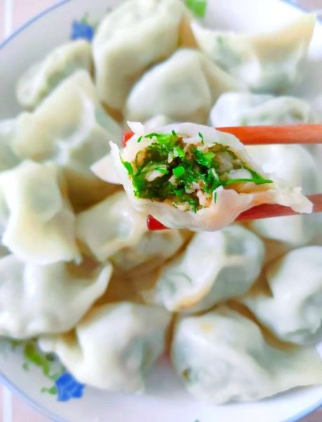 茴香饺子怎么和面_茴香饺子馅怎么调才好吃-第1张图片-山城妙识 茴香饺子怎么和面_茴香饺子馅怎么调才好吃-第1张图片-山城妙识