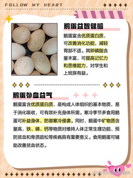 鹅蛋治胃病偏方_鹅蛋怎么吃养胃-第1张图片-山城妙识