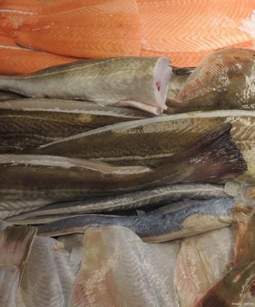 海鲶鱼图片大全大图_海鲶鱼高清图哪里找-第2张图片-山城妙识 海鲶鱼图片大全大图_海鲶鱼高清图哪里找-第2张图片-山城妙识