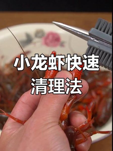 小龙虾怎么洗干净_小龙虾清洗步骤-第2张图片-山城妙识