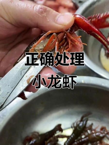 小龙虾怎么洗干净_小龙虾清洗步骤-第3张图片-山城妙识
