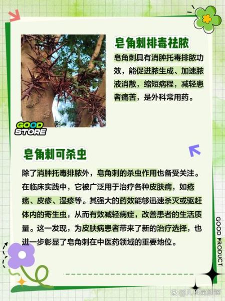 皂角刺配蒲公英有什么功效_皂角刺蒲公英能一起用吗-第1张图片-山城妙识