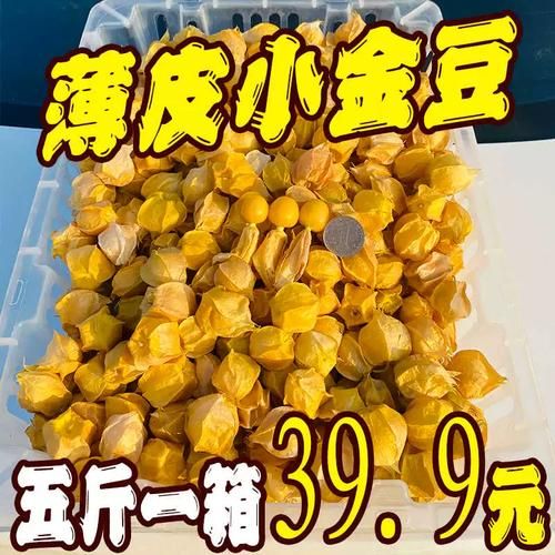 洋菇茑是什么_洋菇茑怎么种植-第1张图片-山城妙识