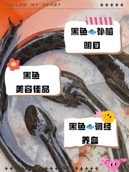 女孩为什么不能吃黑鱼_黑鱼对女生的危害-第1张图片-山城妙识 女孩为什么不能吃黑鱼_黑鱼对女生的危害-第1张图片-山城妙识