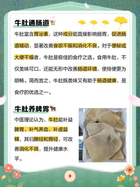 牛肚的营养价值及功效_本草纲目记载了什么-第1张图片-山城妙识 牛肚的营养价值及功效_本草纲目记载了什么-第1张图片-山城妙识
