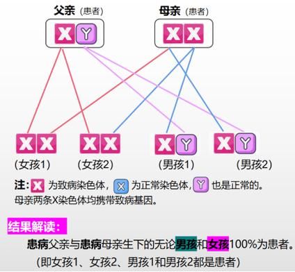 蚕豆病遗传方式_蚕豆病会遗传几代-第2张图片-山城妙识