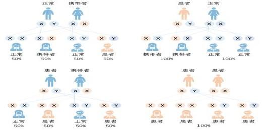 蚕豆病遗传方式_蚕豆病会遗传几代-第1张图片-山城妙识