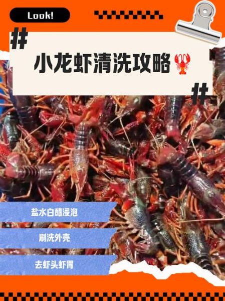 小龙虾怎么清洗干净_小龙虾清洗技巧-第3张图片-山城妙识