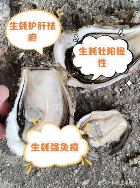 吃了生蚝晚上硬邦邦正常吗_生蚝壮阳多久见效-第1张图片-山城妙识
