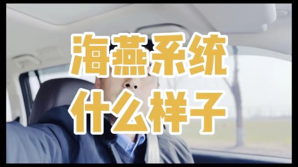 海燕系统是什么_海燕系统怎么用-第1张图片-山城妙识 海燕系统是什么_海燕系统怎么用-第1张图片-山城妙识