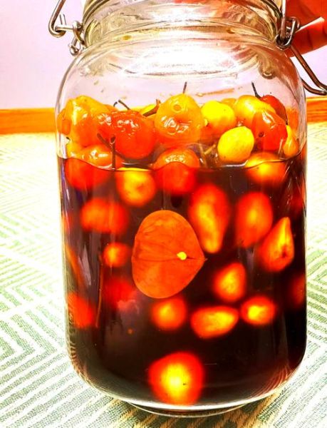 灯笼椒怎么炒好吃_家常灯笼椒做法大全-第1张图片-山城妙识