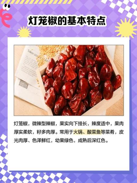 灯笼椒怎么炒好吃_家常灯笼椒做法大全-第3张图片-山城妙识