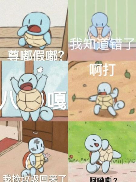 王八搞笑图片哪里找_王八表情包怎么制作-第3张图片-山城妙识