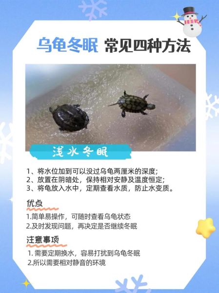 乌龟冬眠前兆有哪些_如何判断乌龟进入冬眠状态-第1张图片-山城妙识 乌龟冬眠前兆有哪些_如何判断乌龟进入冬眠状态-第1张图片-山城妙识