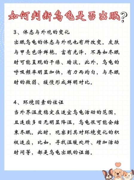 乌龟冬眠前兆有哪些_如何判断乌龟进入冬眠状态-第2张图片-山城妙识 乌龟冬眠前兆有哪些_如何判断乌龟进入冬眠状态-第2张图片-山城妙识