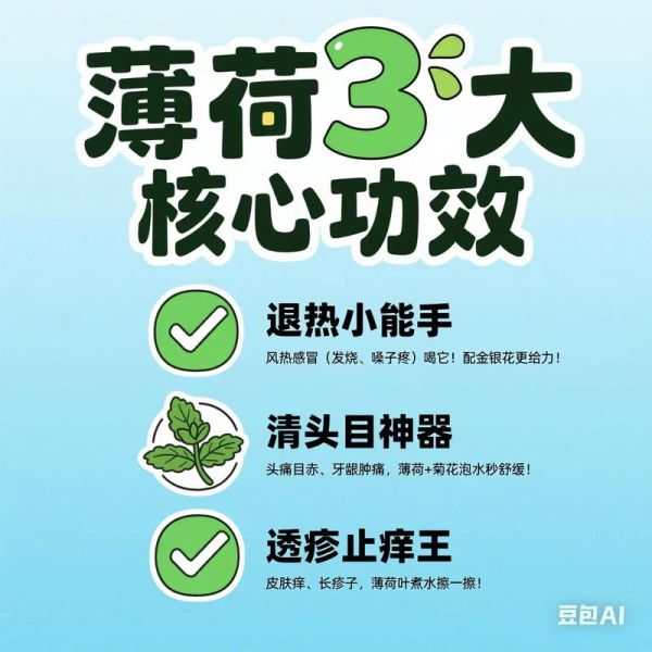 薄荷健康热量查询怎么用_薄荷健康热量查询准确吗-第3张图片-山城妙识