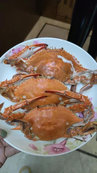 蒸螃蟹用冷水还是热水_蒸螃蟹蒸多久才熟-第2张图片-山城妙识