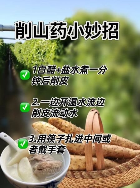 山药弄到皮肤痒怎么办_山药削皮手痒最快止痒方法-第1张图片-山城妙识 山药弄到皮肤痒怎么办_山药削皮手痒最快止痒方法-第1张图片-山城妙识