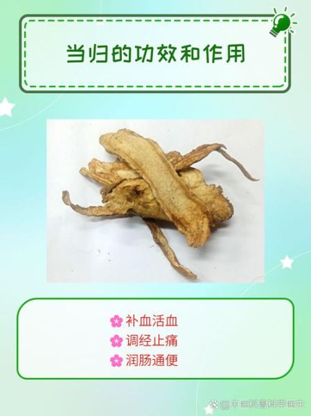 当归的功效与作用有哪些_当归主治什么病-第3张图片-山城妙识