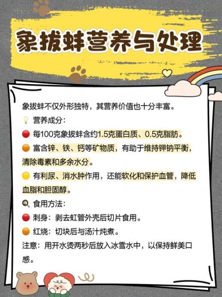 象拔蚌多少钱一斤2020_2020年象拔蚌价格走势-第1张图片-山城妙识 象拔蚌多少钱一斤2020_2020年象拔蚌价格走势-第1张图片-山城妙识