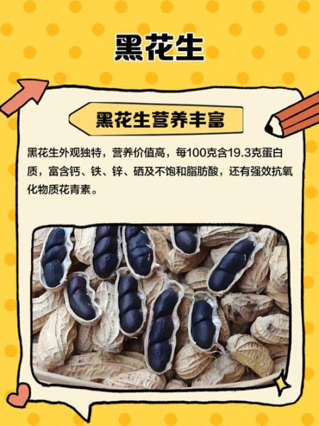 黑花生是转基因食品吗_黑花生营养价值高吗-第3张图片-山城妙识 黑花生是转基因食品吗_黑花生营养价值高吗-第3张图片-山城妙识