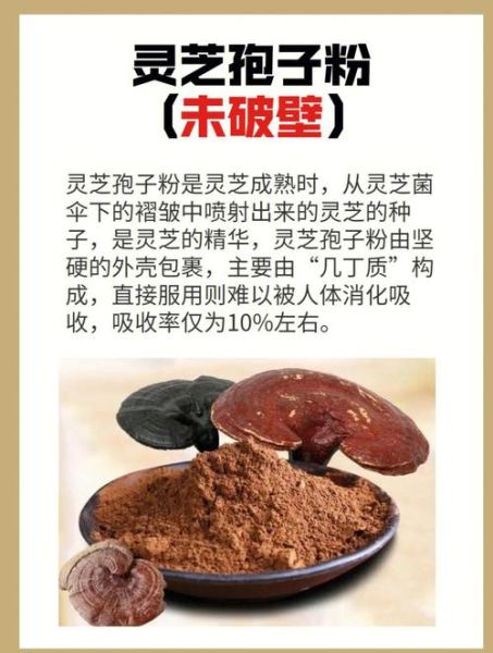 灵芝孢子粉的功效与作用怎么吃_正确吃法-第2张图片-山城妙识 灵芝孢子粉的功效与作用怎么吃_正确吃法-第2张图片-山城妙识