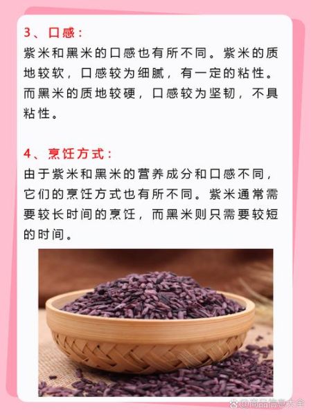 紫米是粗粮吗_紫米和黑米哪个更营养-第1张图片-山城妙识