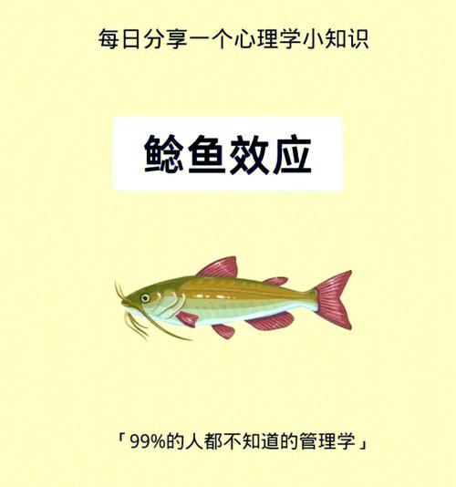 鲶鱼效应管理原理_如何激发团队活力-第2张图片-山城妙识
