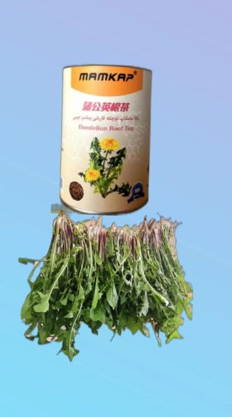 蒲公英根茶的功效与作用_蒲公英根茶怎么喝才有效-第2张图片-山城妙识