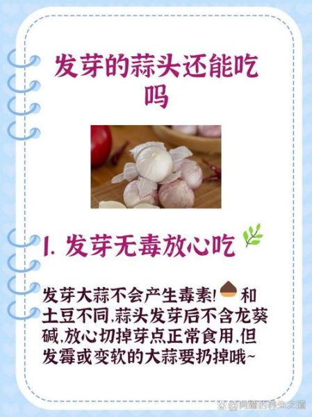 蒜头发芽了还能吃吗_发芽大蒜有毒吗-第1张图片-山城妙识 蒜头发芽了还能吃吗_发芽大蒜有毒吗-第1张图片-山城妙识