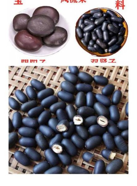 老鸹枕头是什么_老鸹枕头有什么功效-第1张图片-山城妙识 老鸹枕头是什么_老鸹枕头有什么功效-第1张图片-山城妙识