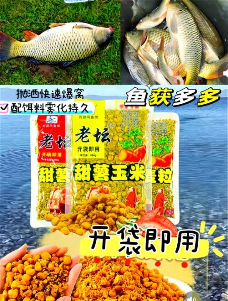 甜玉米罐头能钓鱼吗_甜玉米罐头钓鱼技巧-第1张图片-山城妙识