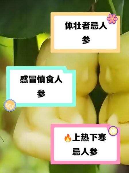 人参果哪些人不能吃_人参果禁忌人群有哪些-第2张图片-山城妙识