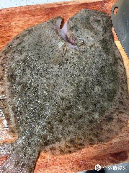 多宝鱼和鲈鱼哪个高档_多宝鱼和鲈鱼价格差多少-第2张图片-山城妙识 多宝鱼和鲈鱼哪个高档_多宝鱼和鲈鱼价格差多少-第2张图片-山城妙识