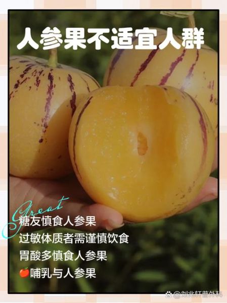 人参果哪些人不能吃_人参果禁忌人群有哪些-第3张图片-山城妙识