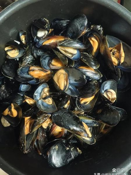 海虹煮多久能熟_海虹煮几分钟口感最好-第2张图片-山城妙识 海虹煮多久能熟_海虹煮几分钟口感最好-第2张图片-山城妙识