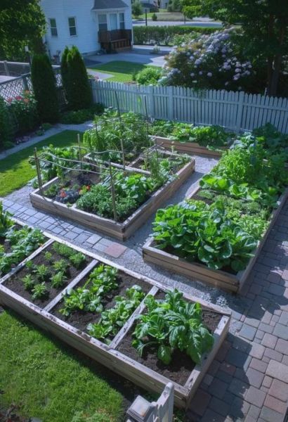 菜圃是什么_菜圃和菜园的区别-第2张图片-山城妙识 菜圃是什么_菜圃和菜园的区别-第2张图片-山城妙识