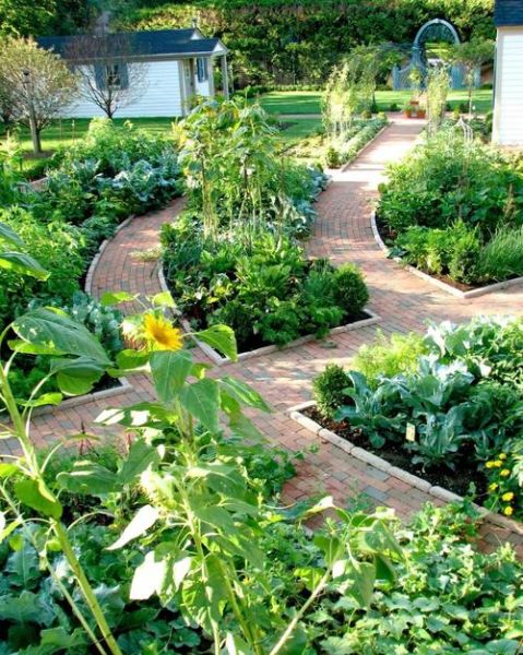 菜圃是什么_菜圃和菜园的区别-第1张图片-山城妙识 菜圃是什么_菜圃和菜园的区别-第1张图片-山城妙识