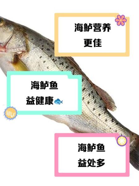 海鲈鱼和淡水鲈鱼区别_哪个更好吃-第2张图片-山城妙识