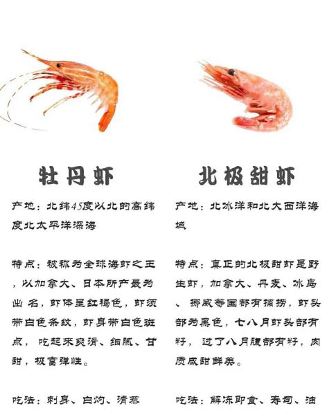 海虾图片大全大图真实_如何辨别鲜活海虾-第3张图片-山城妙识