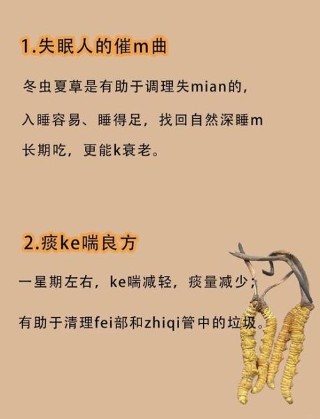 铁皮石斛泡水喝放几粒_一次放多少粒合适-第2张图片-山城妙识 铁皮石斛泡水喝放几粒_一次放多少粒合适-第2张图片-山城妙识