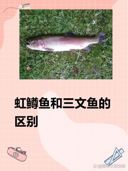 虹鳟鱼和三文鱼的区别_虹鳟鱼能生吃吗-第2张图片-山城妙识 虹鳟鱼和三文鱼的区别_虹鳟鱼能生吃吗-第2张图片-山城妙识