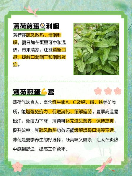 薄荷减肥有效吗_薄荷减肥食谱怎么做-第1张图片-山城妙识 薄荷减肥有效吗_薄荷减肥食谱怎么做-第1张图片-山城妙识