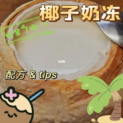 椰子奶酪布丁怎么做_椰子奶酪布丁热量高吗-第1张图片-山城妙识 椰子奶酪布丁怎么做_椰子奶酪布丁热量高吗-第1张图片-山城妙识