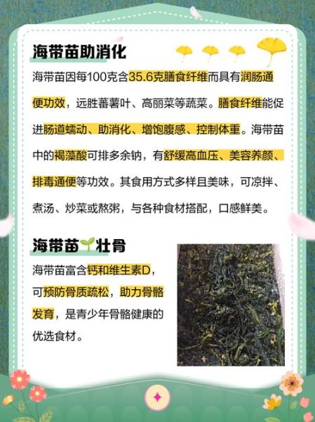 海带苗的功效与作用_海带苗怎么吃最营养-第1张图片-山城妙识 海带苗的功效与作用_海带苗怎么吃最营养-第1张图片-山城妙识