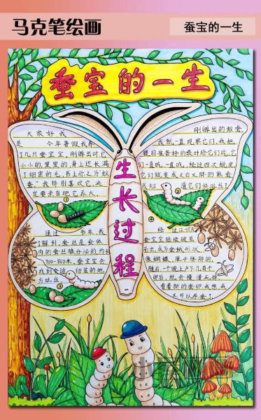 蚕的生长过程视频_蚕宝宝几天能结茧-第1张图片-山城妙识