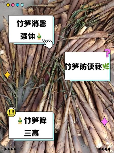 竹笋的营养价值及功效与禁忌_什么人不能吃竹笋-第3张图片-山城妙识