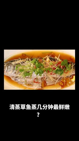 蒸草鱼要多长时间_蒸草鱼几分钟才熟-第1张图片-山城妙识