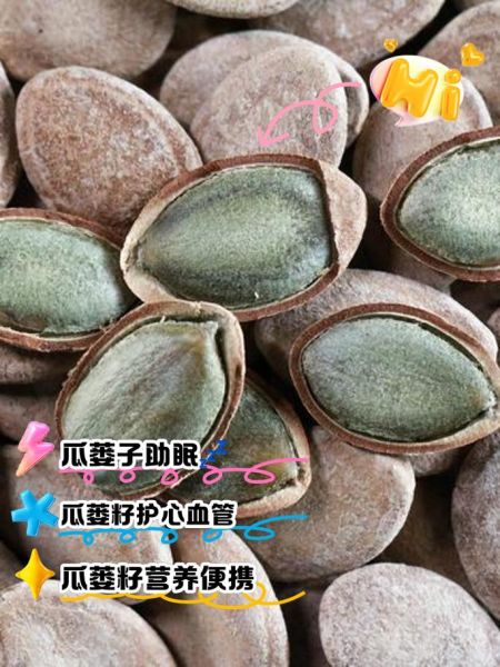瓜蒌子可以当零食吃吗_瓜蒌子每天吃多少合适-第1张图片-山城妙识